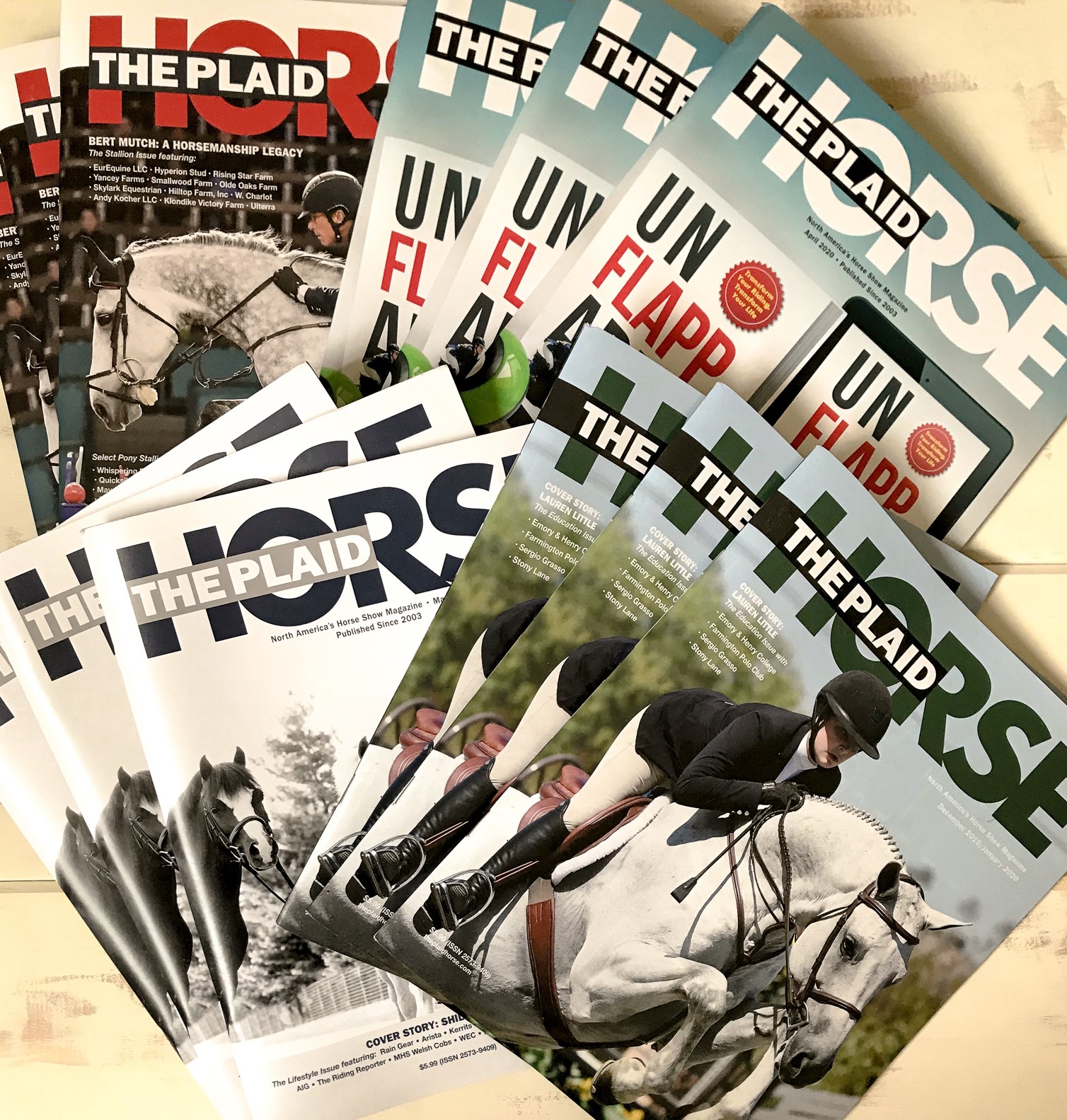 The Plaid Horse Yearly BOX Subscription - The Plaid Horse Magazine