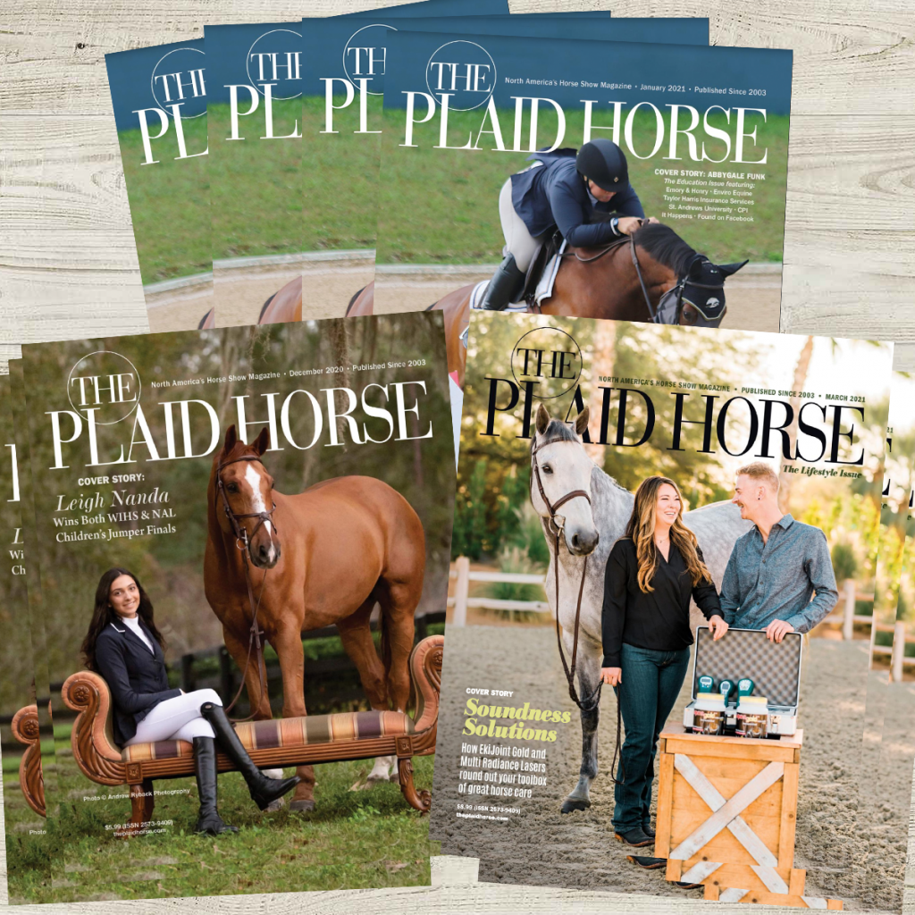 The Plaid Horse Yearly BOX Subscription - The Plaid Horse Magazine