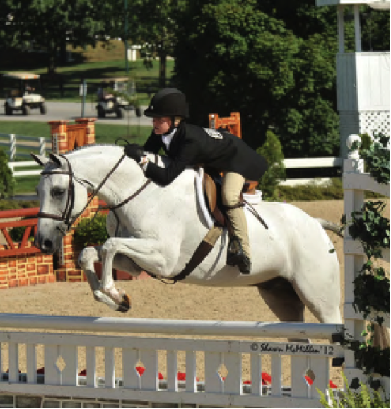 Pony Breeding for Performance - The Plaid Horse Magazine