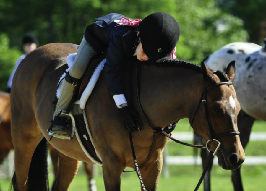 Pony Breeding for Performance - The Plaid Horse Magazine