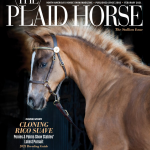 One Year Subscription - The Plaid Horse Magazine