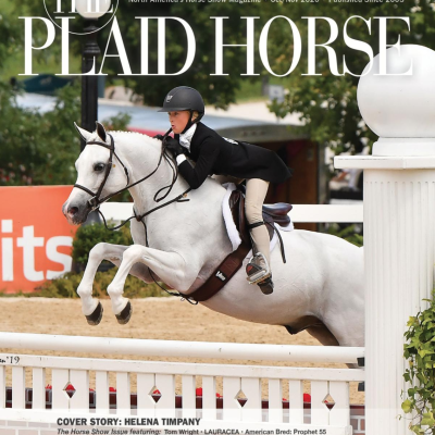 The Plaid Horse Yearly BOX Subscription - The Plaid Horse Magazine