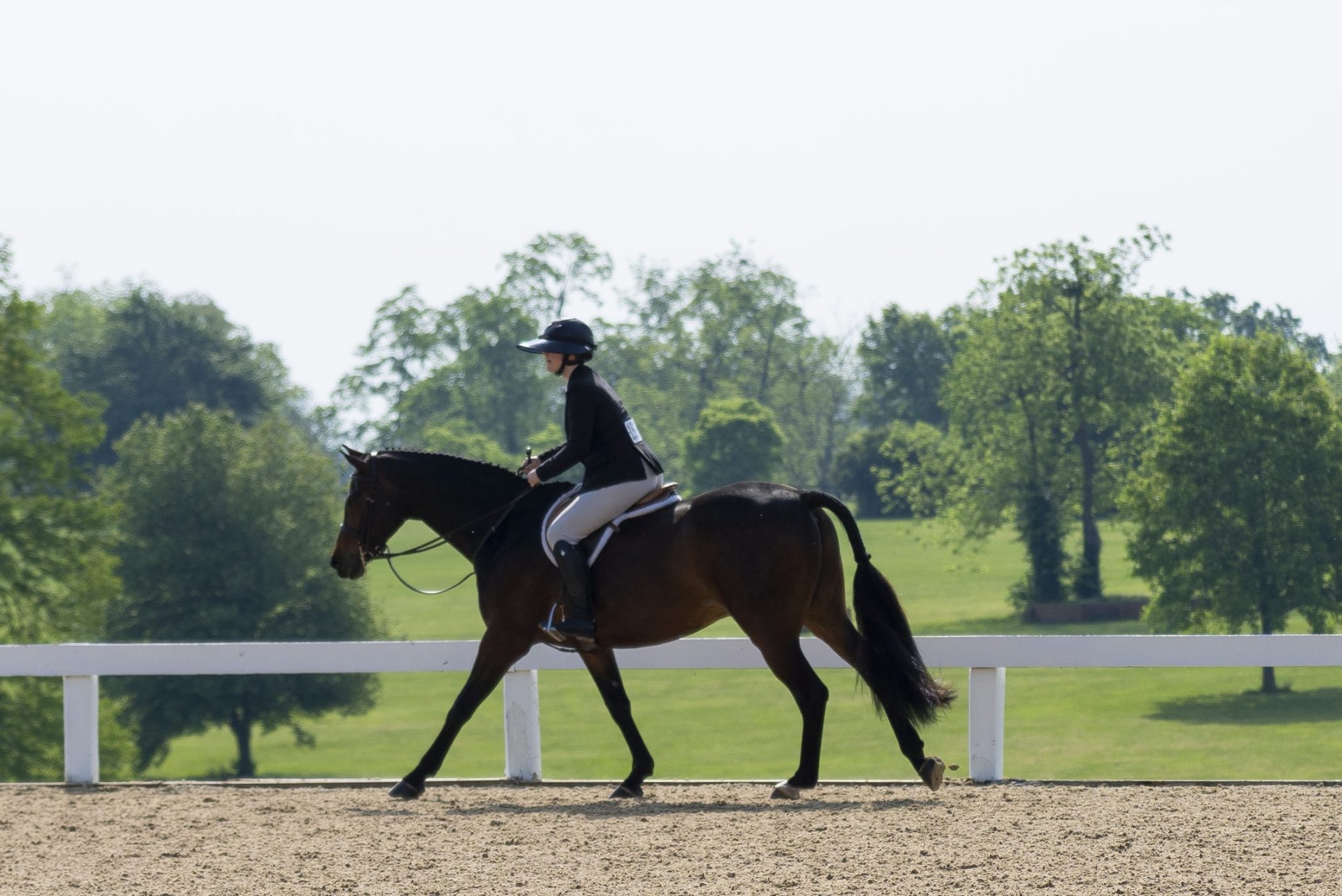 Think, Not Just Feel: The Inside Leg to Outside Rein - The Plaid Horse ...