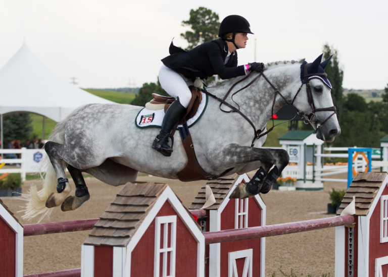 What in the World is a Horse Bonnet? - The Plaid Horse Magazine