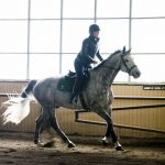 Piper Klemm Ph.D. Publisher’s Note- February 2017 - The Plaid Horse ...