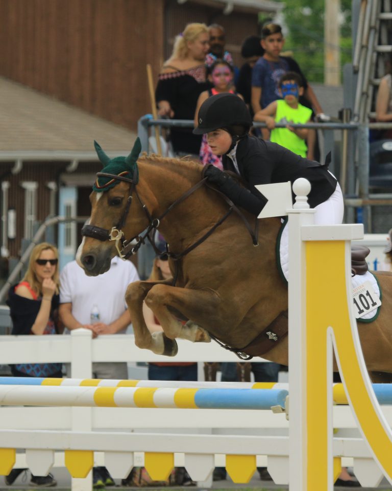 Dade Dominates Devon Pony Jumpers - The Plaid Horse Magazine