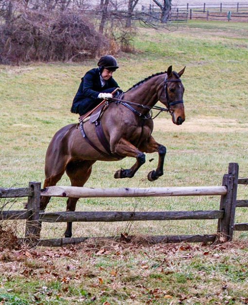 Side Saddle is Back! - The Plaid Horse Magazine