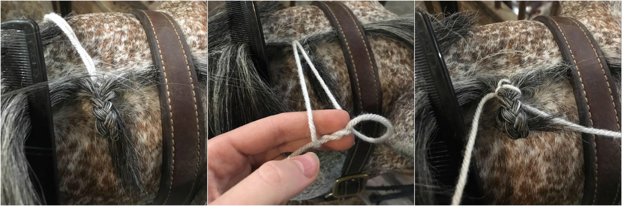 How to Braid a Mane and Tail for the Hunter Ring - The Plaid Horse Magazine