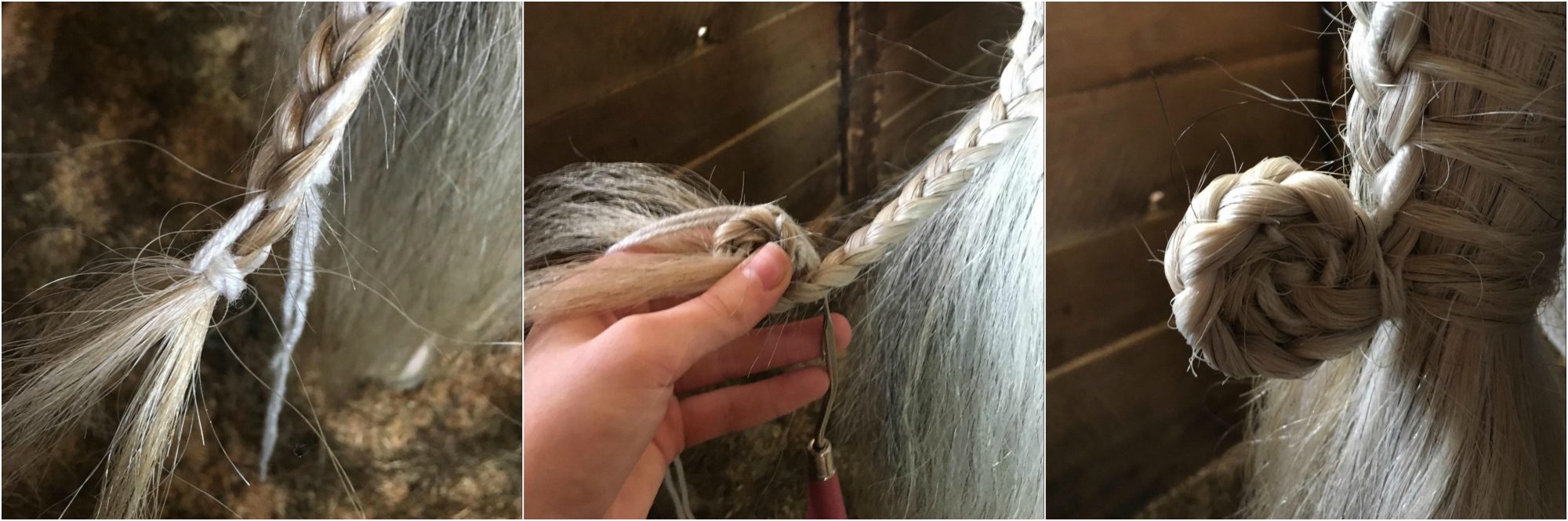 How to Braid a Mane and Tail for the Hunter Ring - The Plaid Horse Magazine