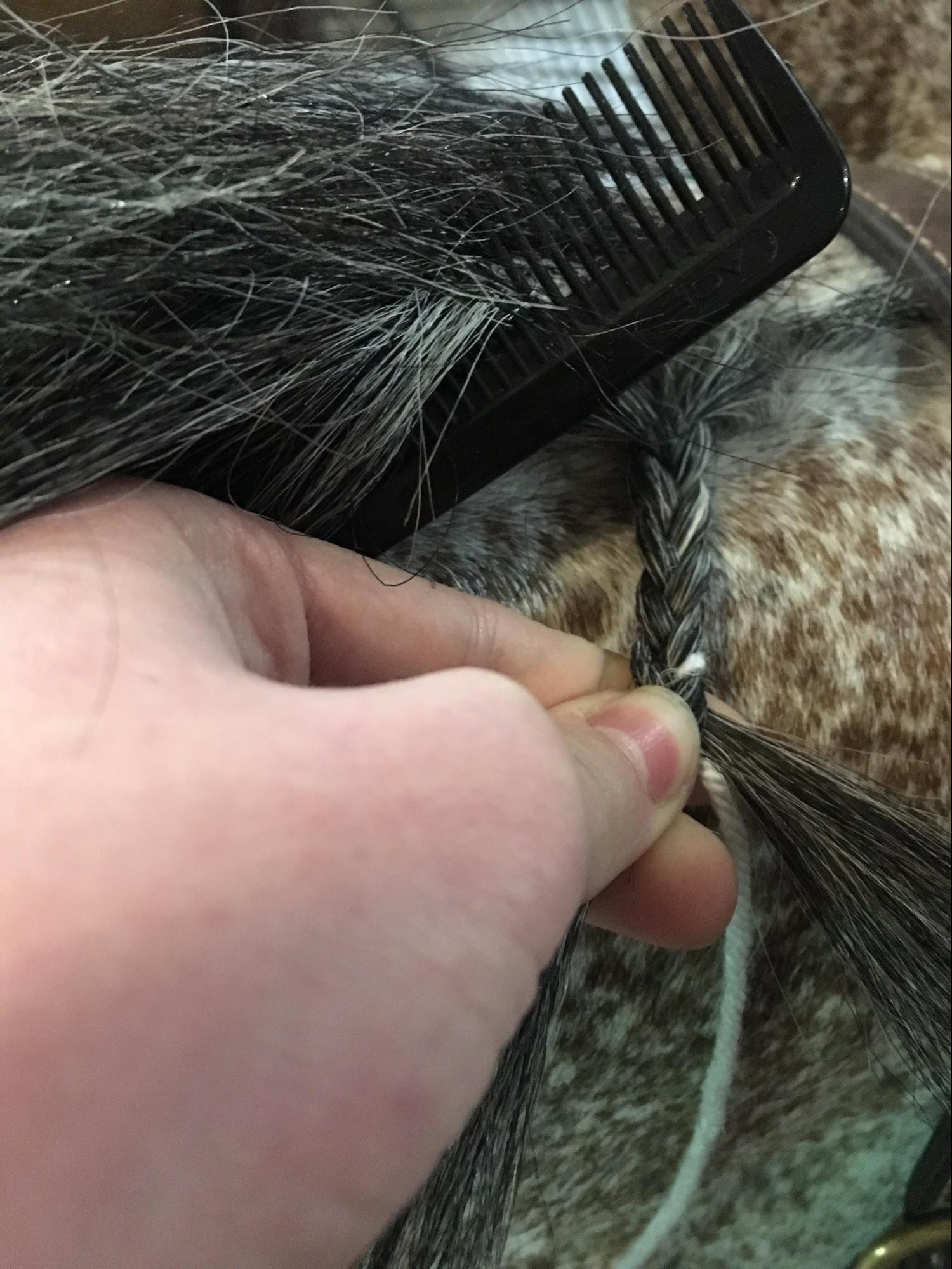How to Braid a Mane and Tail for the Hunter Ring - The Plaid Horse Magazine