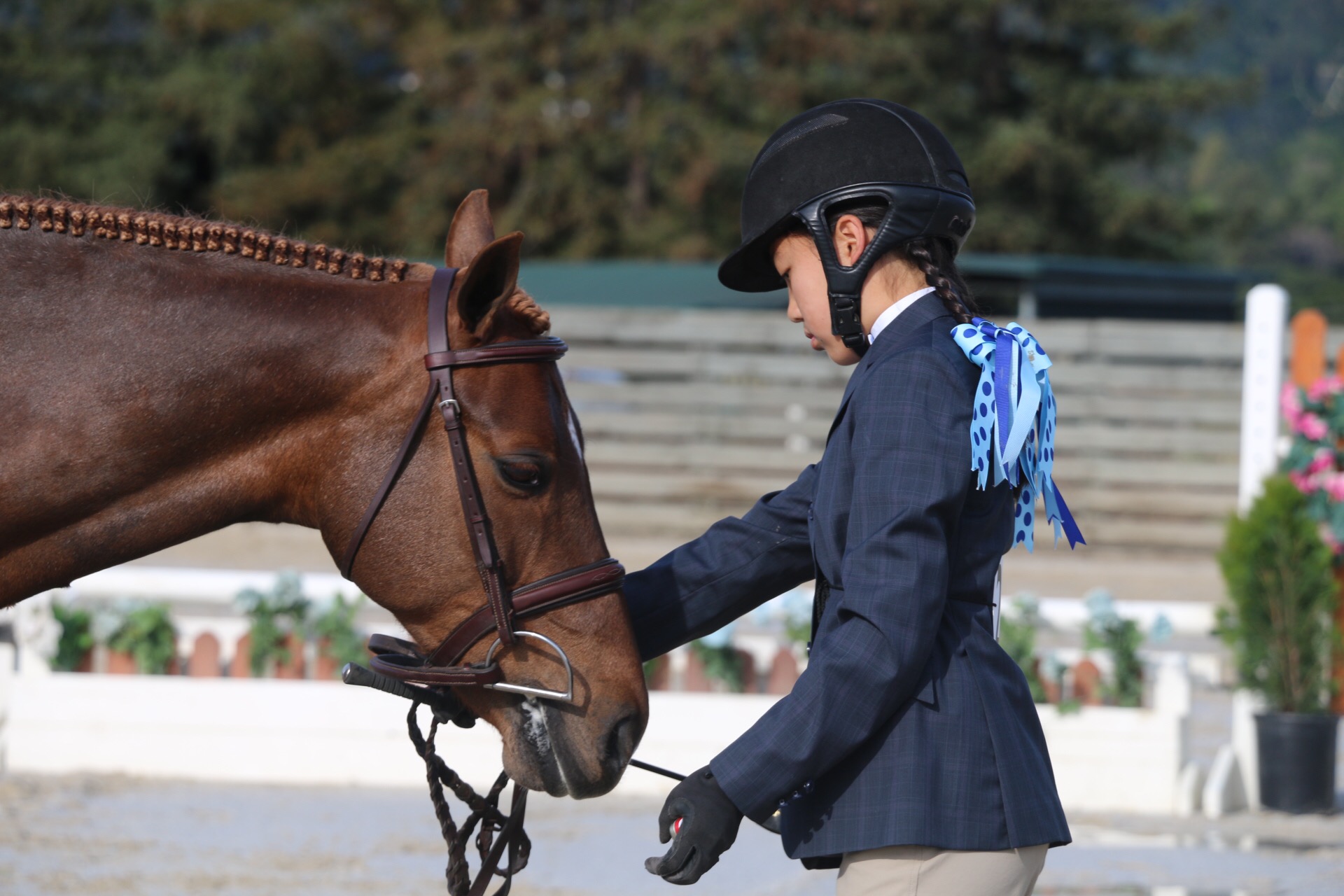 Quality Wins the Game: Breaking Down the Pony Model - The Plaid Horse ...