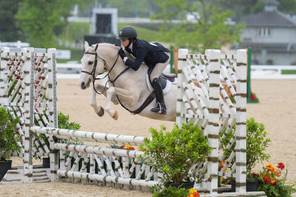 Why Ponies? - The Plaid Horse Magazine