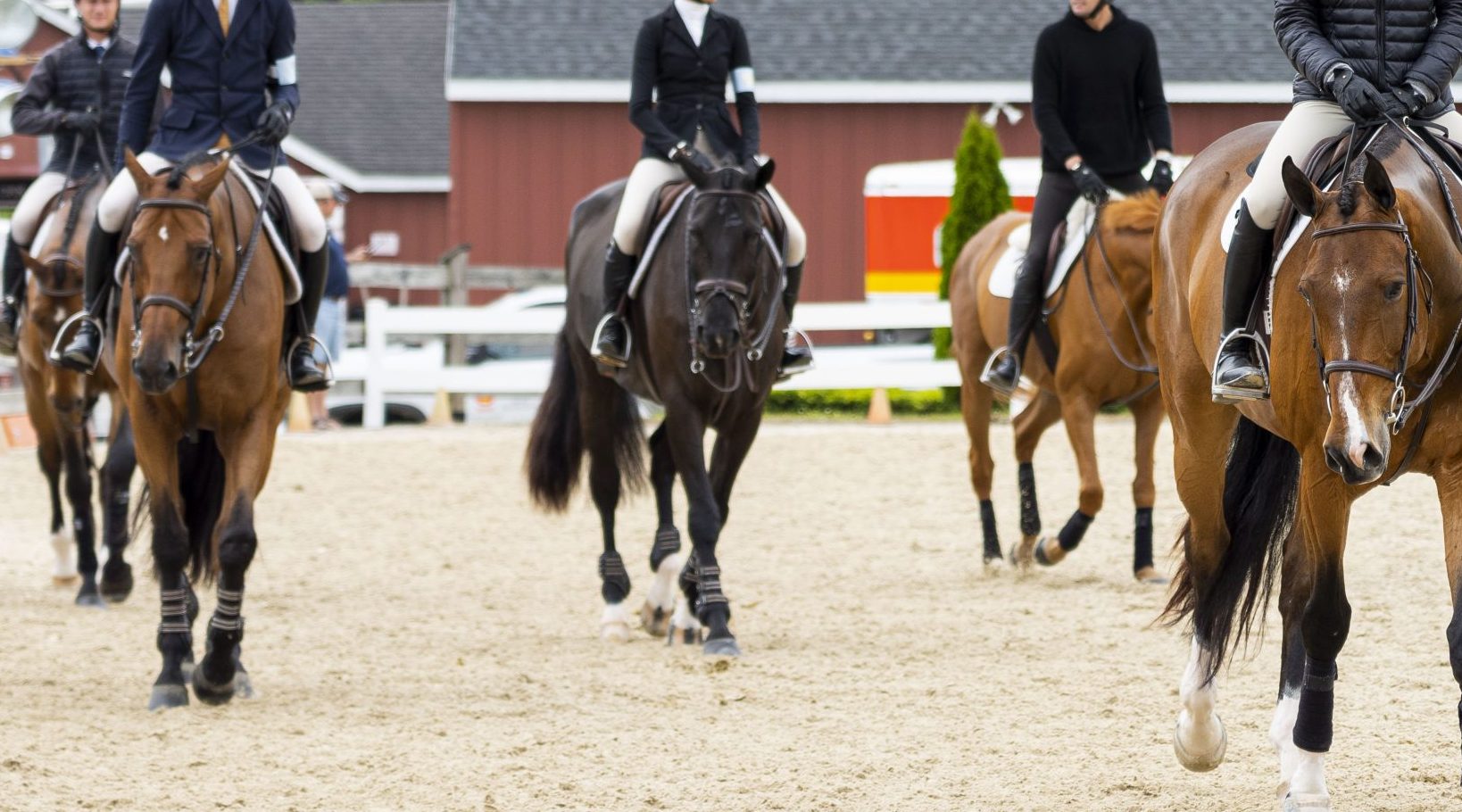 Eight Excellent Essentials for Excelling in the Equitation - The Plaid ...