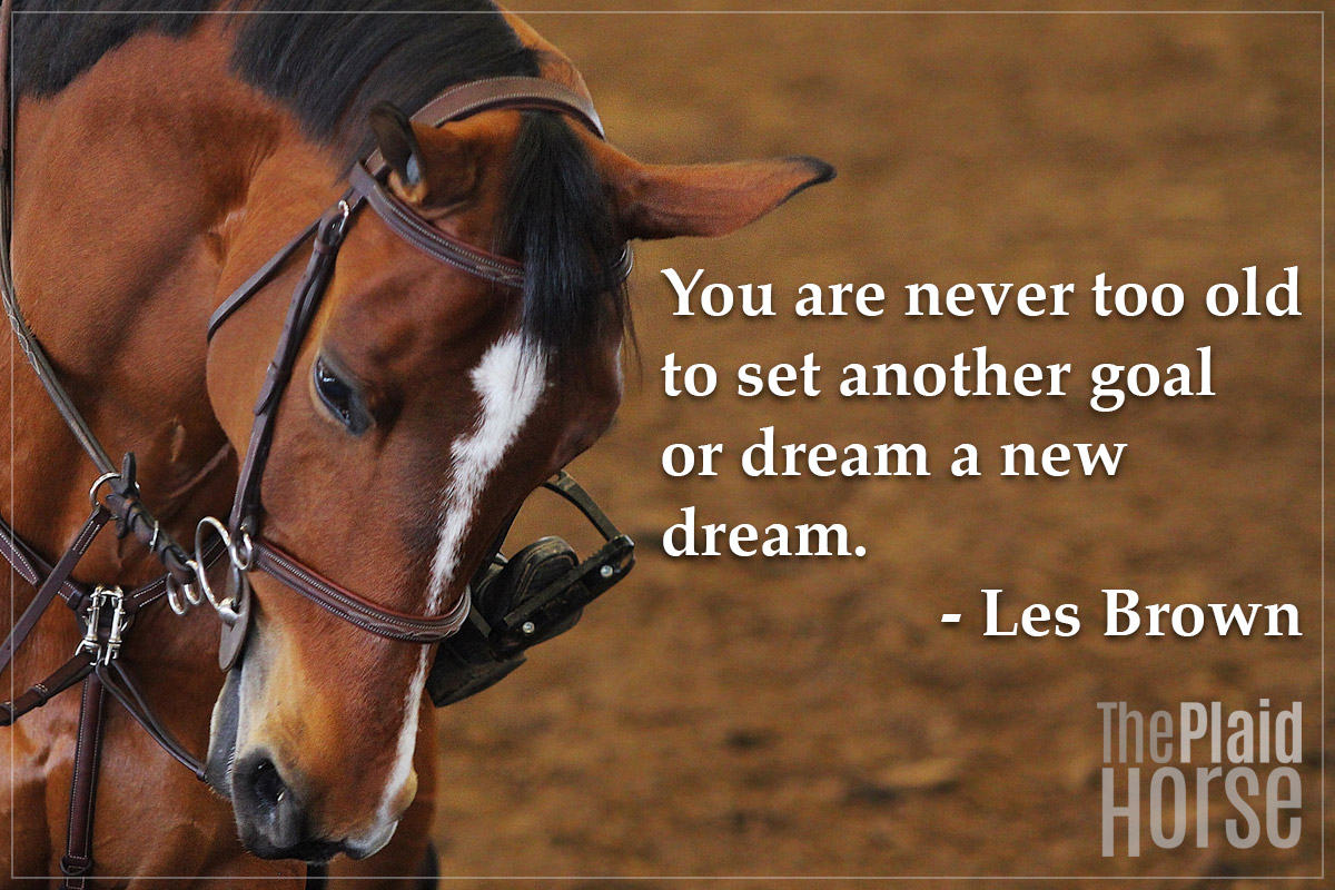 20 Motivational Quotes to Use at the Barn - The Plaid Horse Magazine