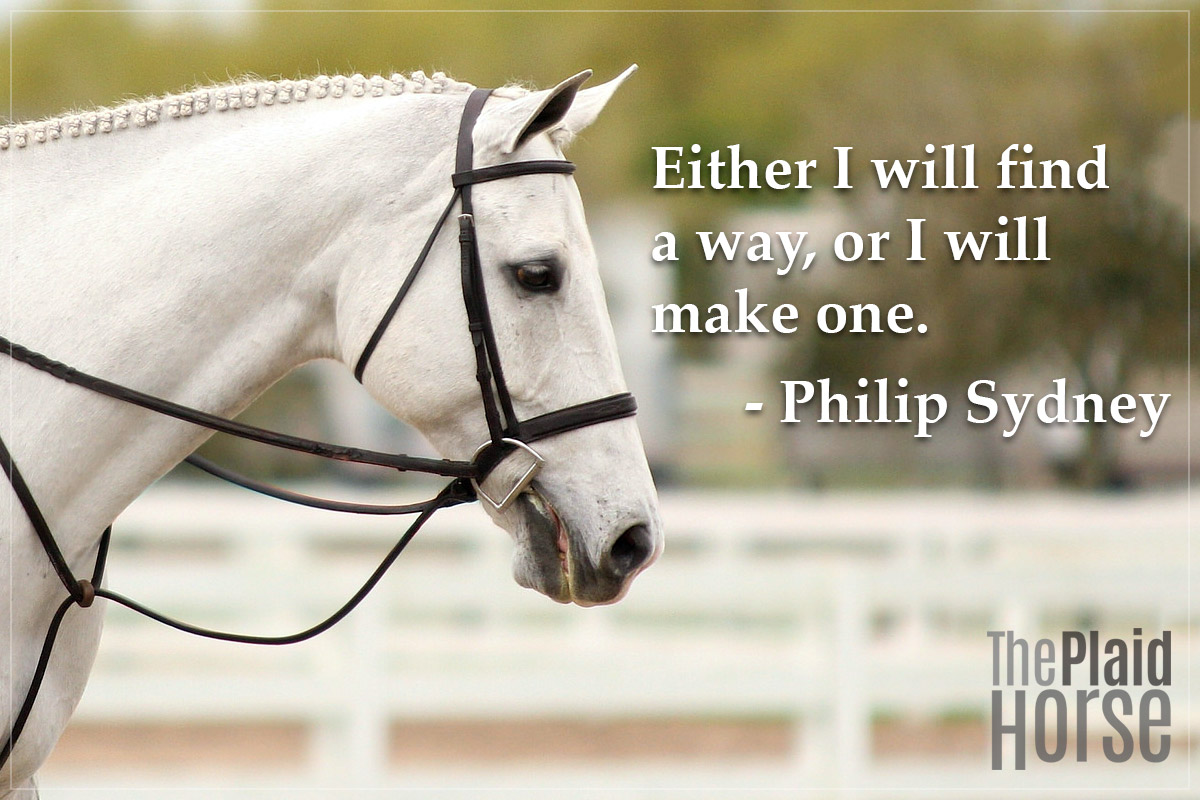 20 Motivational Quotes to Use at the Barn - The Plaid Horse Magazine