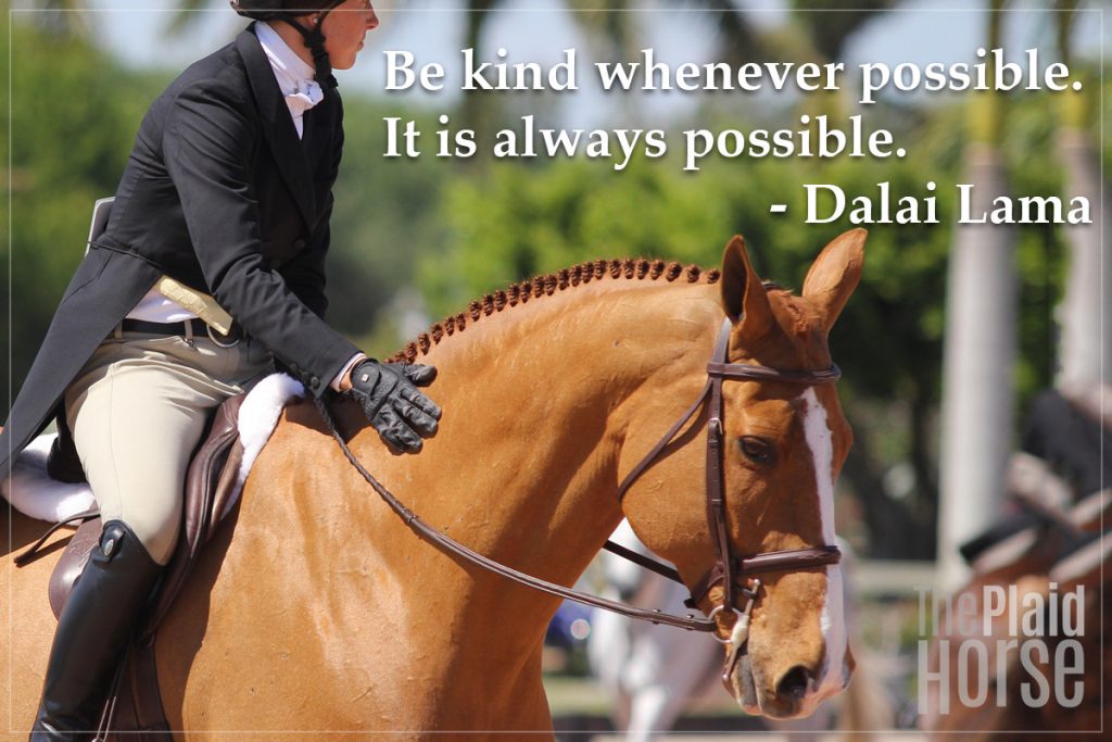 20 Motivational Quotes to Use at the Barn - The Plaid Horse Magazine