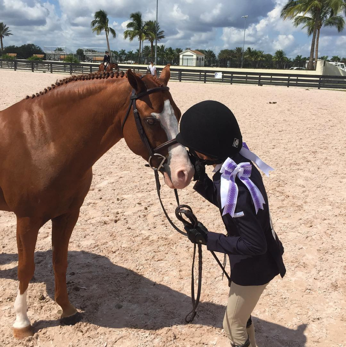 6 Things to Look For When Shopping for a Short Stirrup Pony - The Plaid ...