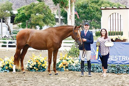 German Hanoverian Bloodlines Thriving in Southern California at Ryan ...