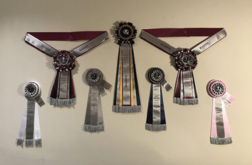 Beautiful and Easy Ways to Display Your Ribbons - The Plaid Horse Magazine