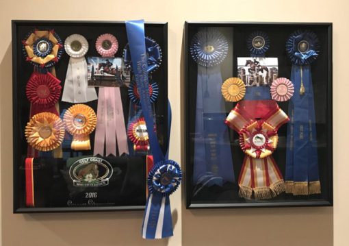 Beautiful and Easy Ways to Display Your Ribbons - The Plaid Horse Magazine