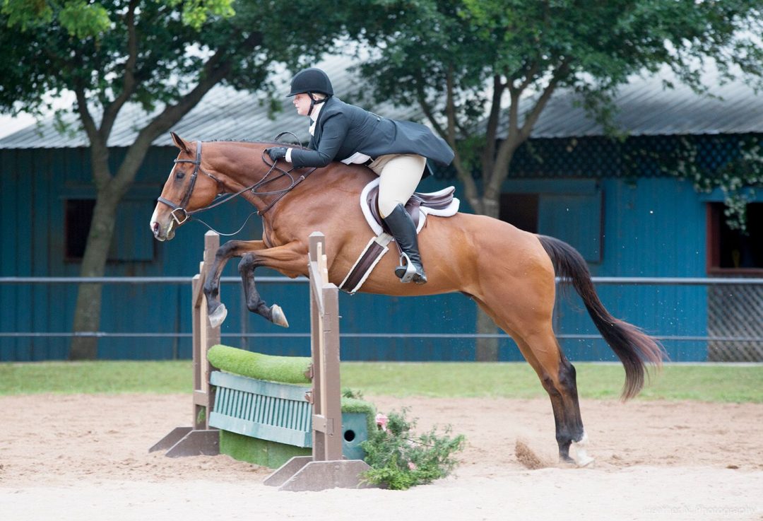 Size Inclusivity in the Equestrian World - The Plaid Horse Magazine