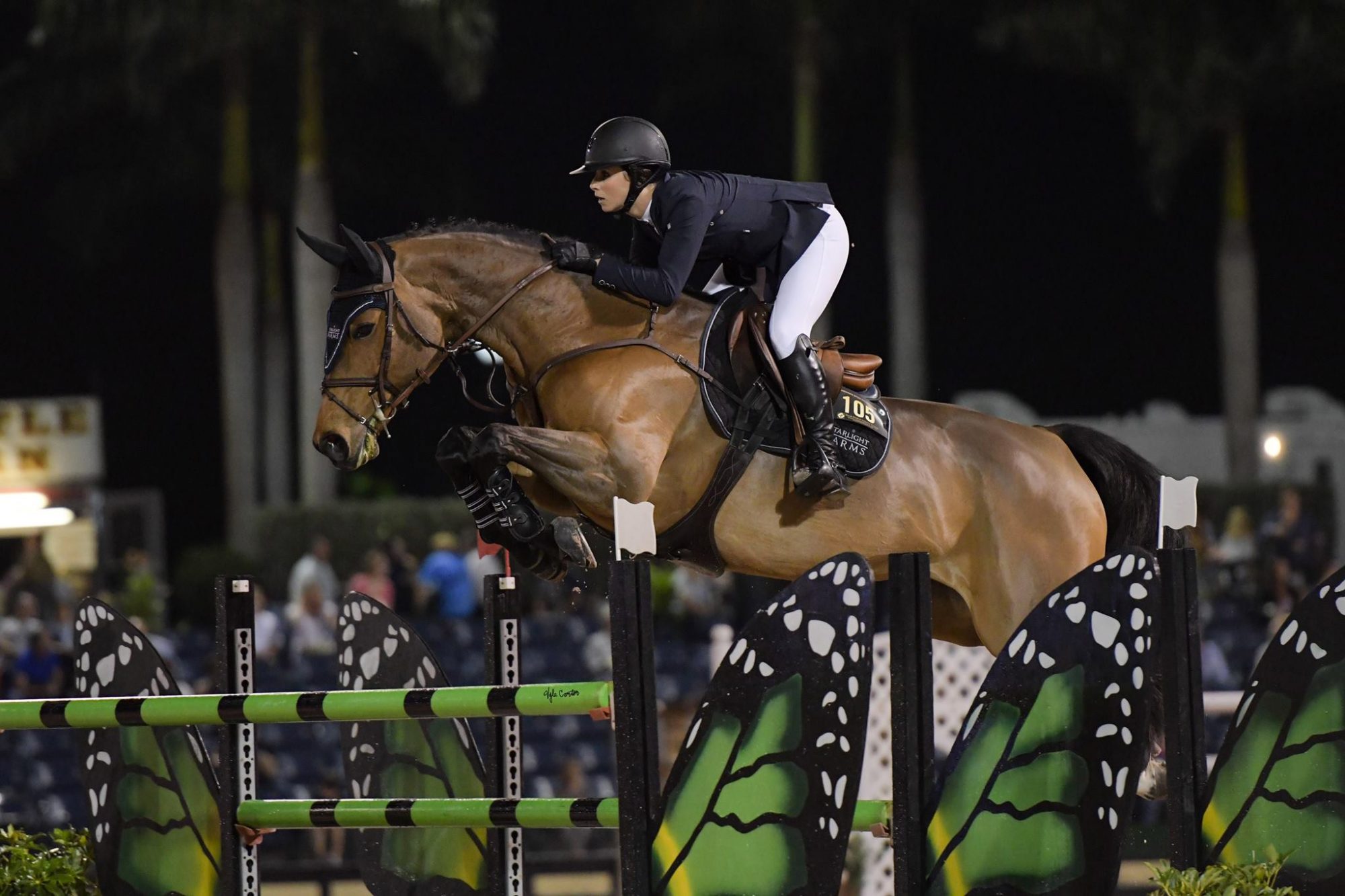 One Bold Move After Another, Adrienne Sternlicht makes the US Show ...