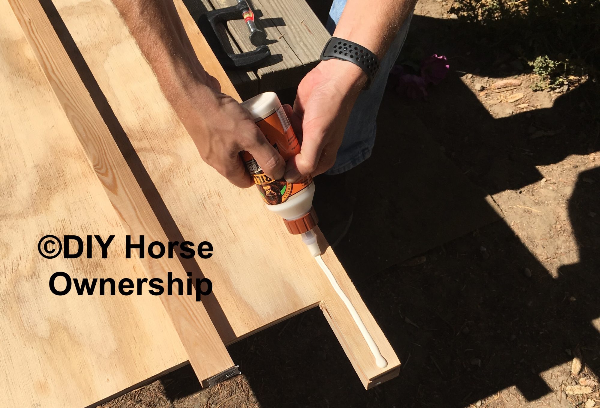 Equestrian DIY: How to Make Horse Jump Panels - The Plaid Horse Magazine