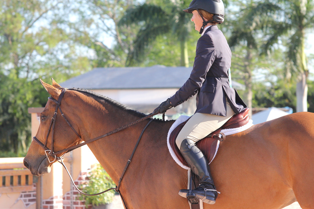 How to Train the Adult Amateur (and the kid of the Adult Ammy) - The ...