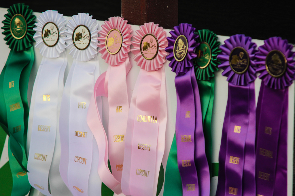 Ribbons in the Trash: Is There a Greener Award for Shows? - The Plaid ...