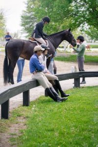 10 Tips and Tricks for Being the Best Horse Show Groom You Can Be - The ...