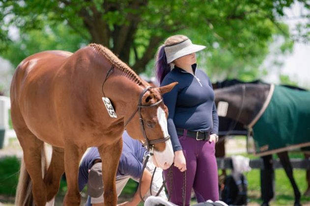 10 Tips and Tricks for Being the Best Horse Show Groom You Can Be - The ...
