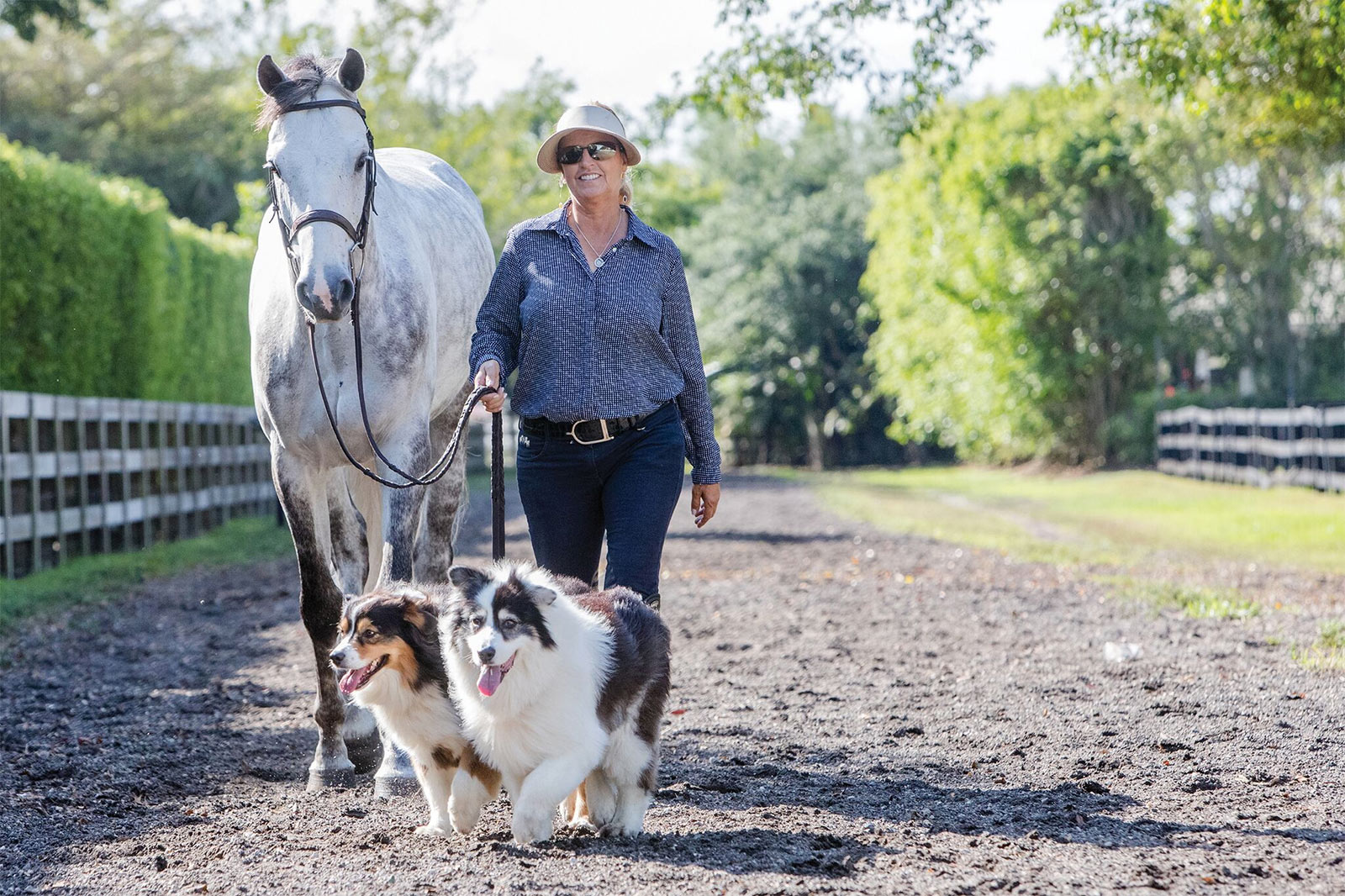 Val Renihan: Midwestern values in the modern world - The Plaid Horse ...