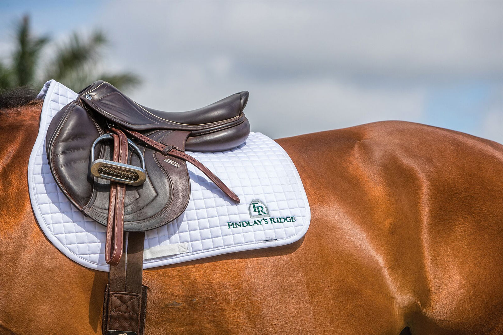 Val Renihan: Midwestern values in the modern world - The Plaid Horse ...