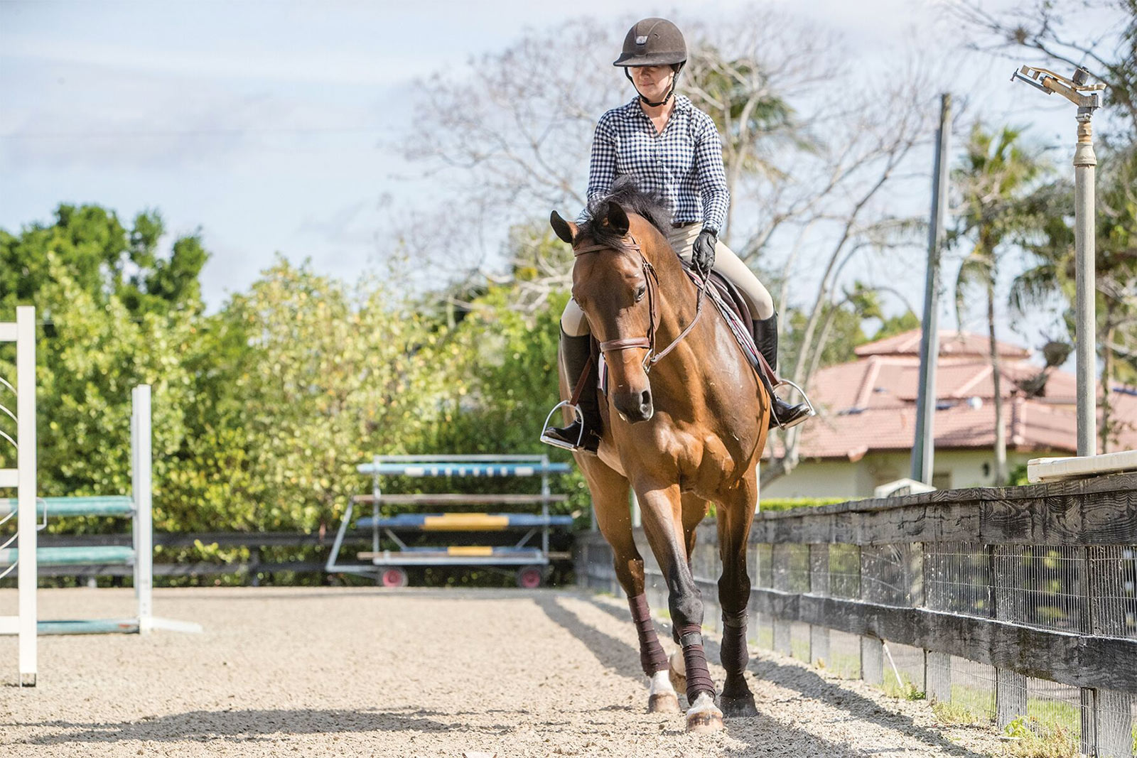 Val Renihan: Midwestern values in the modern world - The Plaid Horse ...