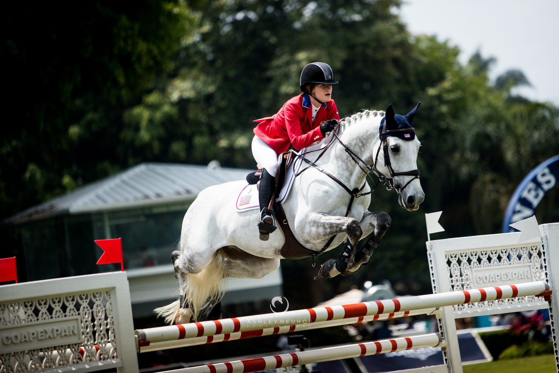 Jennifer Gates and Evergate Stables Announce New Training Partnership ...