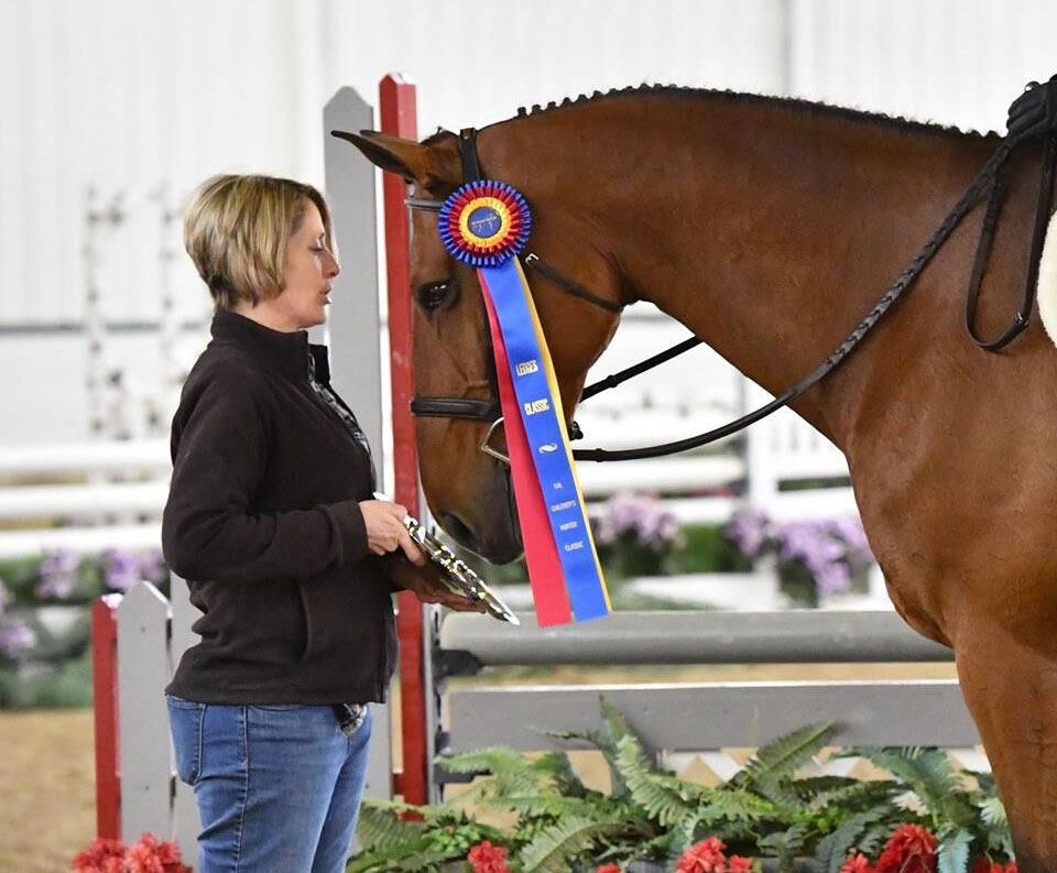 The Heartbeat of Chicago Equestrian: Bull Run Equestrian Center - The ...