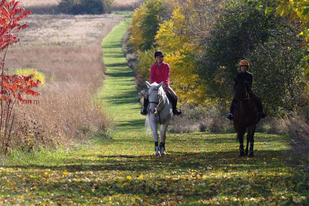 The Heartbeat of Chicago Equestrian: Bull Run Equestrian Center - The ...