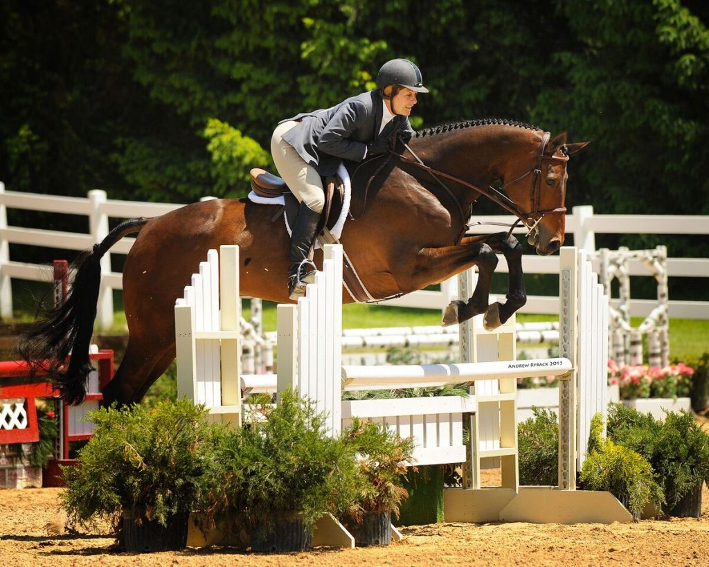 The Heartbeat of Chicago Equestrian: Bull Run Equestrian Center - The ...