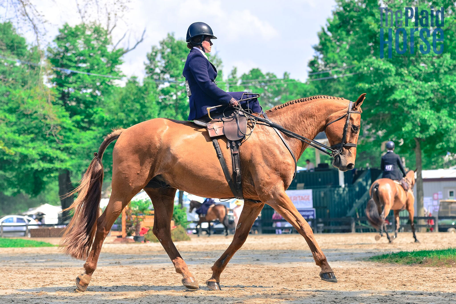 Saturday Scenes from Upperville - Leadline, Family Class and Sidesaddle ...