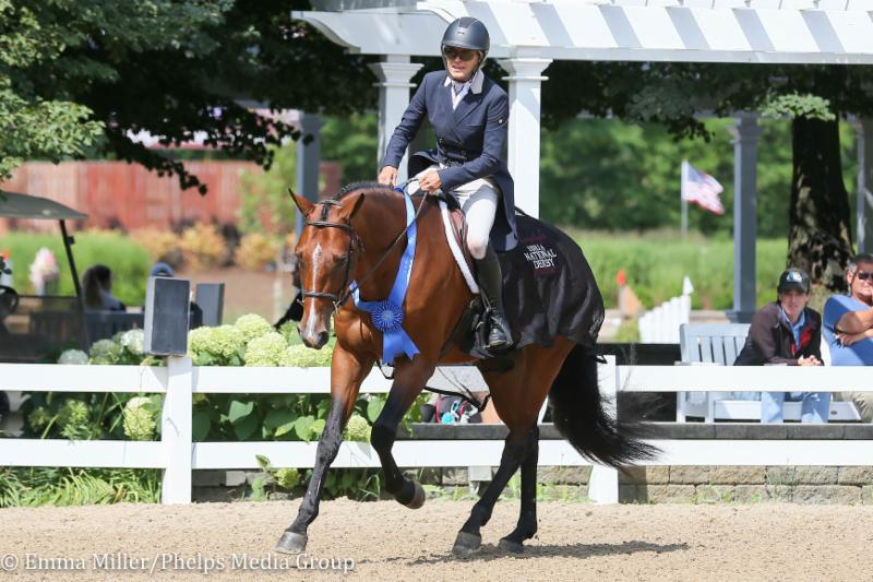 Holly Shepherd Dominates $5,000 USHJA National Hunter Derby During ...