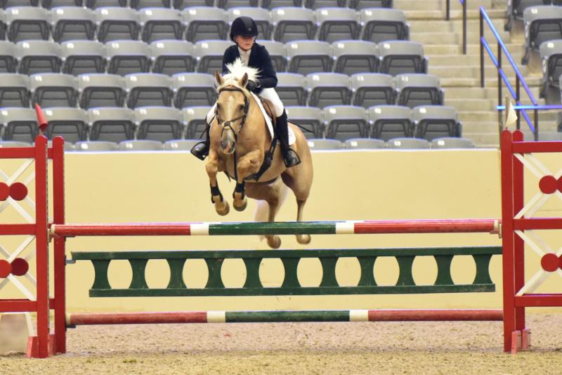 USHJA Zone 10 Riders Earn Gold Medal Titles at 2018 USEF National Pony ...