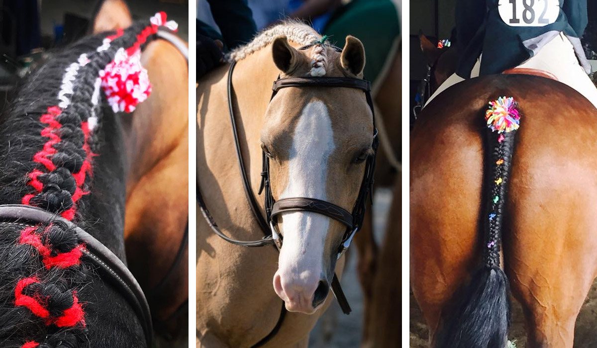 20 Times the Braider Was Extra in the Best Way - The Plaid Horse Magazine
