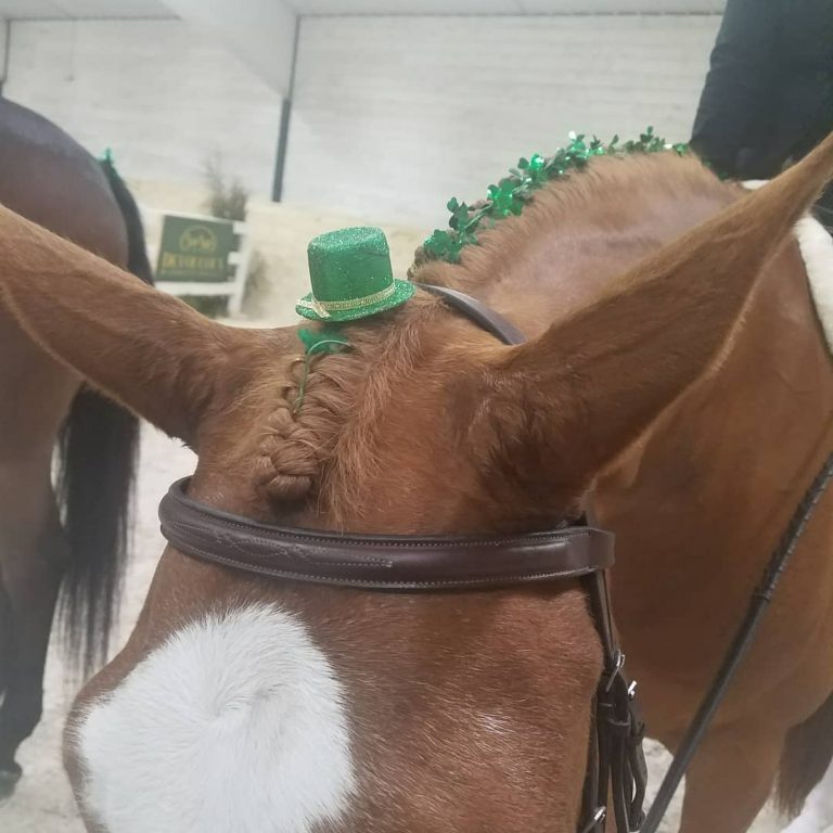 21 Times the Braider Was Extra in the Best Way - The Plaid Horse Magazine