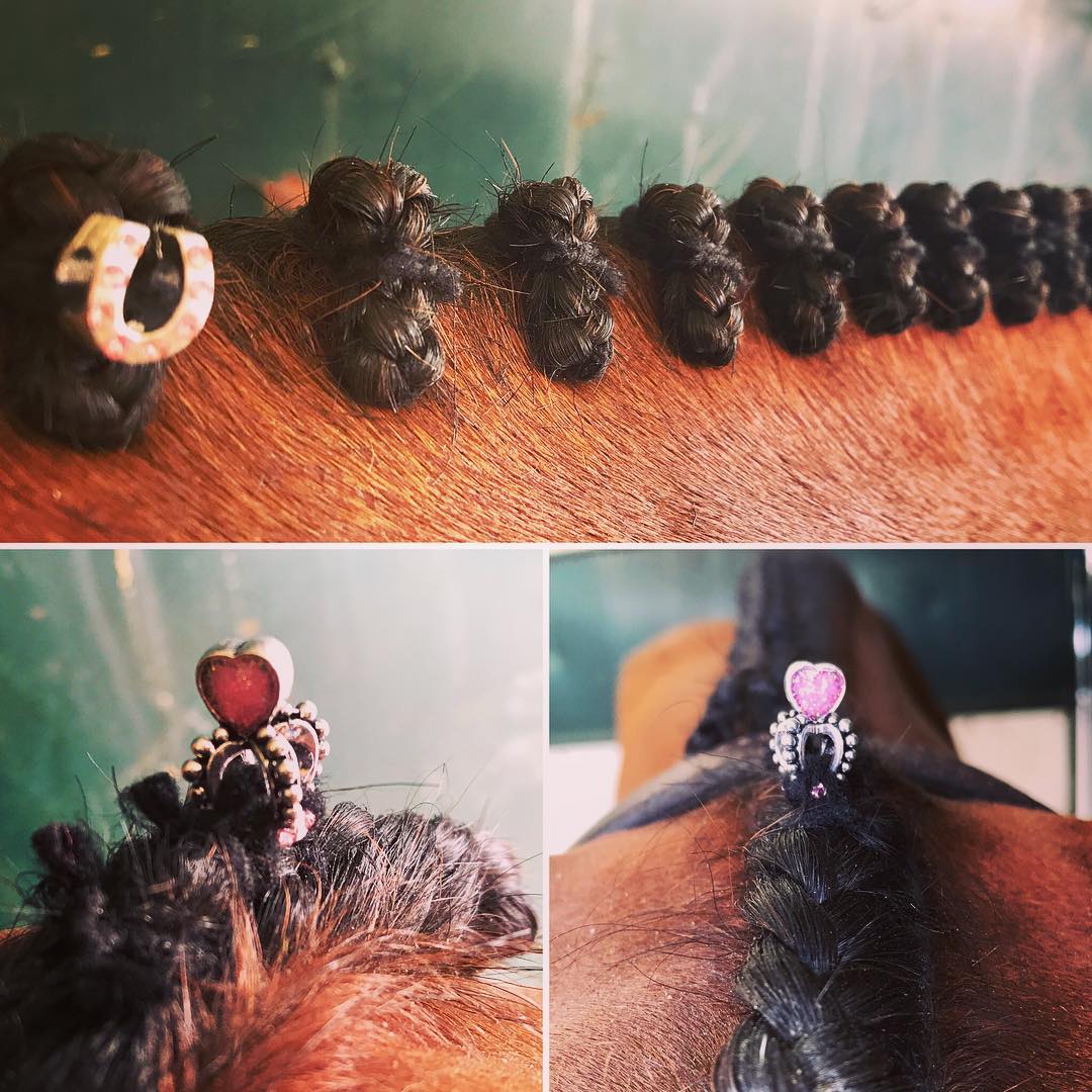 21 Times the Braider Was Extra in the Best Way - The Plaid Horse Magazine