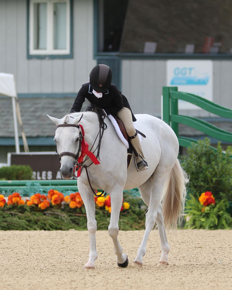 Celebrating the Round: Regular Large and Small Green Pony Hunter Over ...