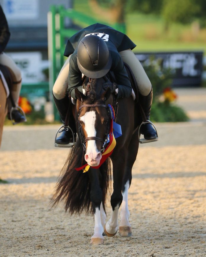 Celebrating the Round: Regular Large and Small Green Pony Hunter Over ...
