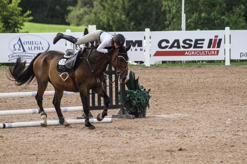 Epic Rider Saves: Jumper Ring Edition - The Plaid Horse Magazine