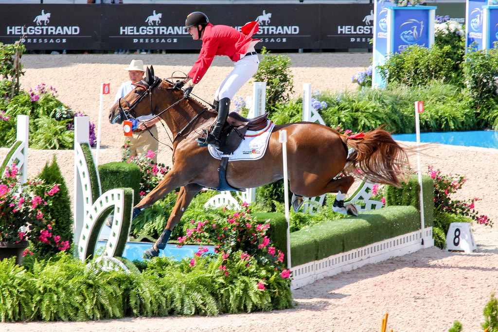 Epic Rider Saves: Jumper Ring Edition - The Plaid Horse Magazine