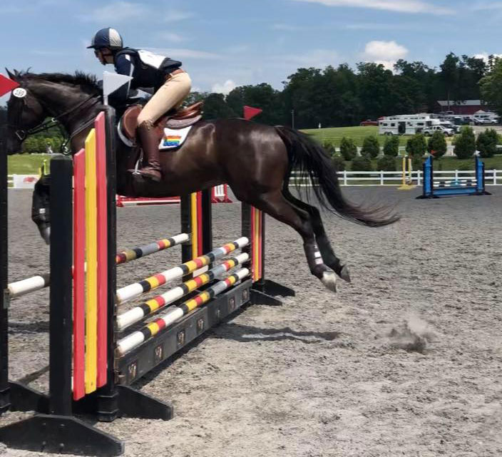 What Eventers Can Learn From Hunters - The Plaid Horse Magazine