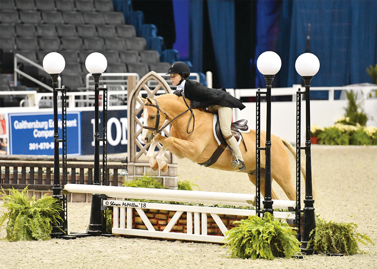 Publisher's Note: In The Moment - The Plaid Horse Magazine